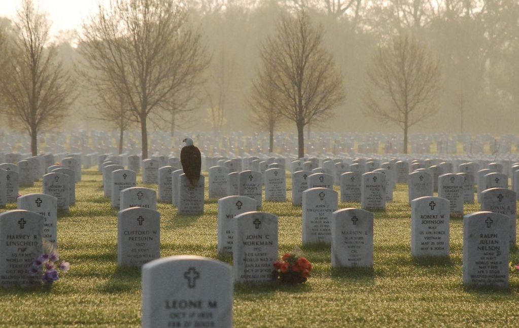 Photo of Eagle on Fort Snelling Gravestone Touches Hearts, & Goes Viral ...