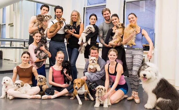 New York City Ballet Dancers Bring Their Dogs to Work - Your Daily Dish