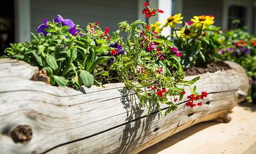 Do-It-Yourself Gardening Projects Anyone Can Make - Your Daily Dish
