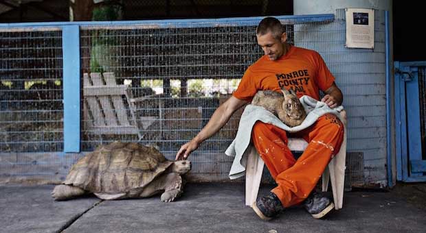 This Jail Gives Inmates and Abandoned Animals a Second Chance at Life ...