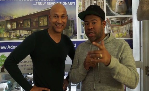 Watch Key and Peele Stop by a Cat Adoption Shelter and Give Some Cats ...