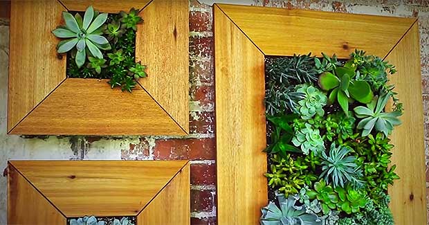 Make Your Own Hanging Picture Frame Garden - Your Daily Dish