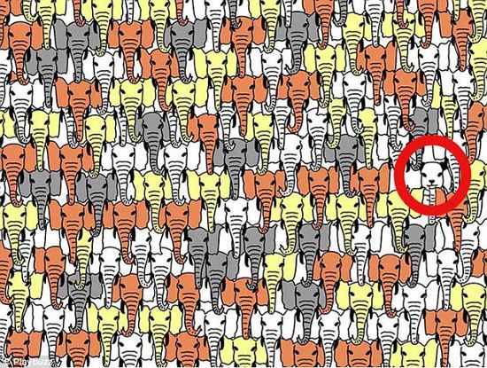 Incredible Brain Teasers: Find the Hidden Figure in These Puzzles