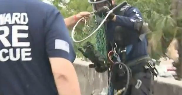 Watch the Tactical Rescue Team Rescue a Cat From a Drain