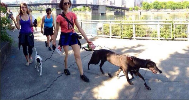 Panorama Dog Photos Guaranteed To Freak You Out